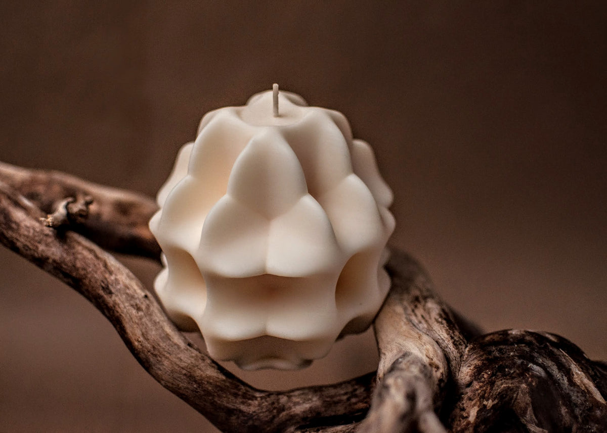 Exploring Candle Fragrances: From Floral to Woody Scents – UP Candle Design